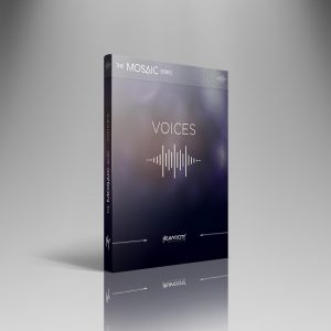 5+ Best Choir VST Plugins in 2024 | SynthSavvy